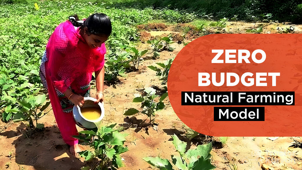 What is Zero Budget Natural Farming & Importance