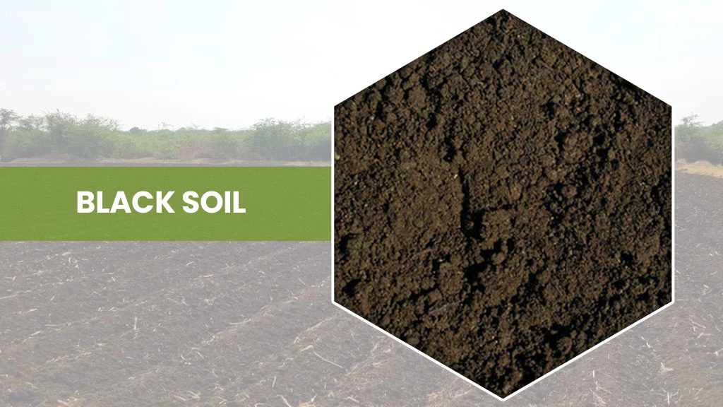 Types of Soil in India with their Uses - Tractorkarvan
