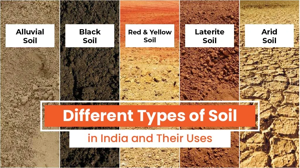 Soil in India - Types, Method and Process