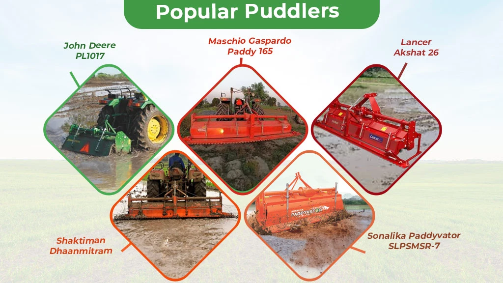 How to do Puddling in Paddy Field and their Benefits