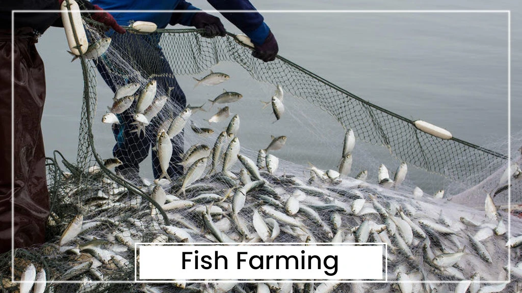 What is Animal Husbandry, Types & Benefits