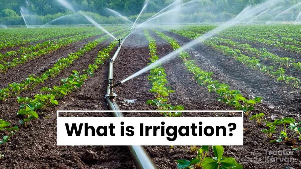 What is Irrigation - Types, Methods and Importance