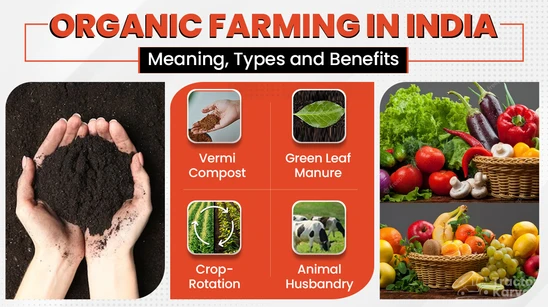 What is Mixed Farming, Type & Benefits of It