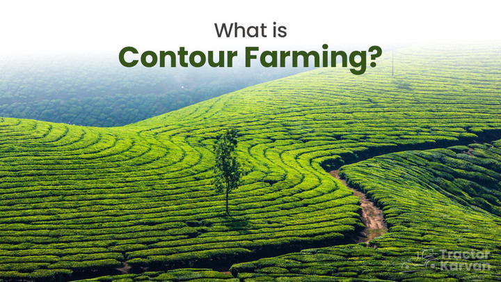 What is Contour Farming, Benefits & Importance